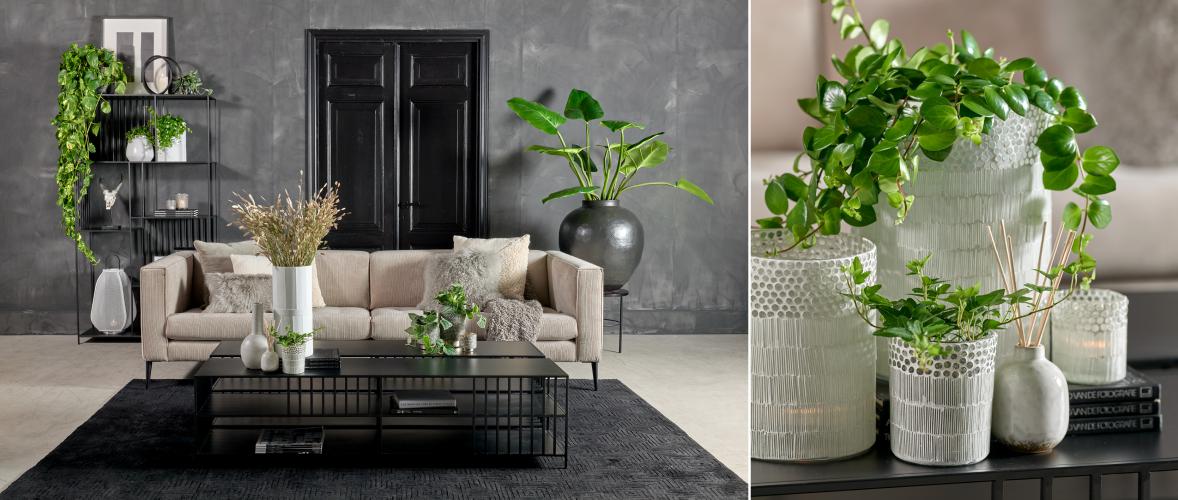 home » LifeStyle - Home Collection